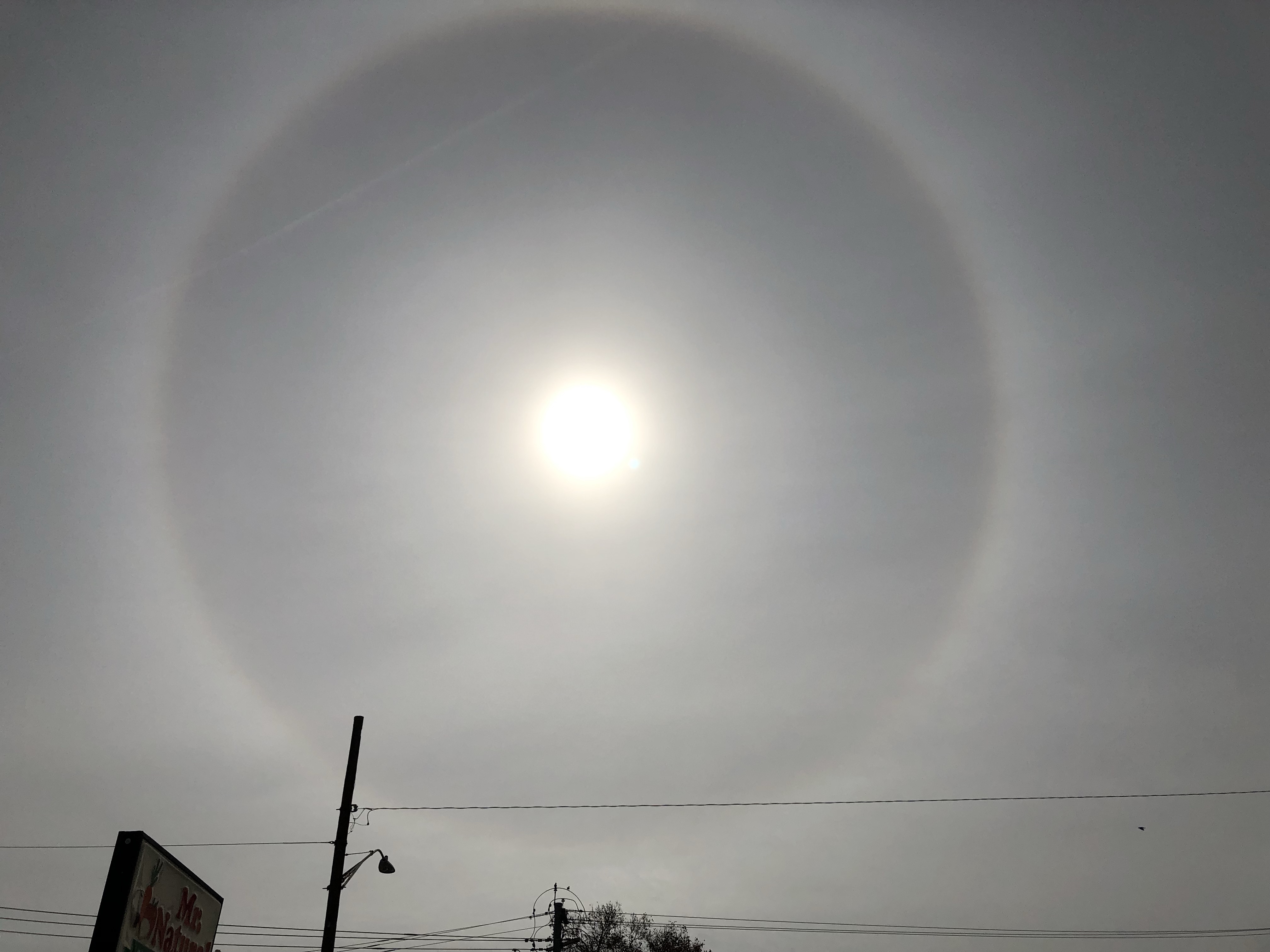 Solar Halos? – SMiles Lewis
